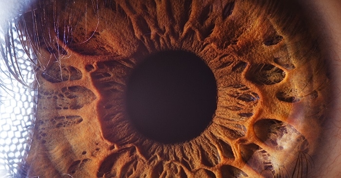 Amazingly Revealing Macro Photos of the Human Eye