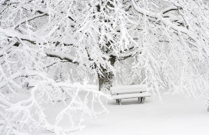 Christmas Photos of Winter Scenes To Get You in the Holiday Spirit