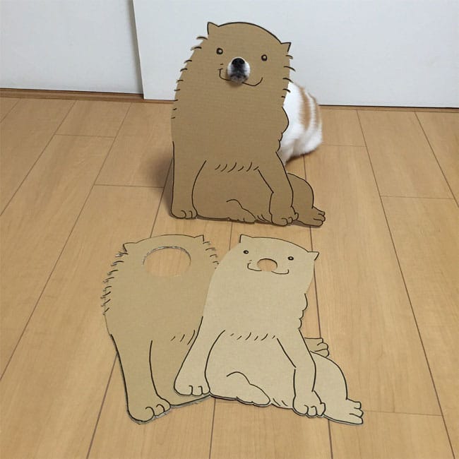 Photogenic Dog Loves Dressing Up in Elaborate Cardboard Cutouts | My ...