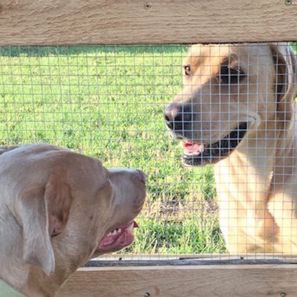 Cammie Finch, Author at My Modern Met