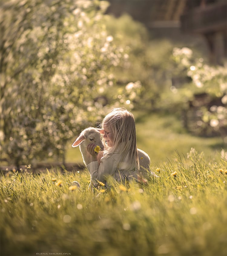 Sentimental Photos Explore the Touching Relationship Between Children ...
