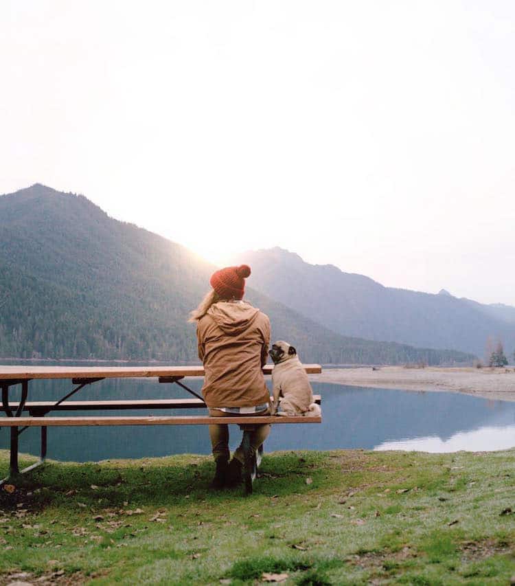 Photographer Shares Adorable Pug’s Silly Side While Going on Adventures ...