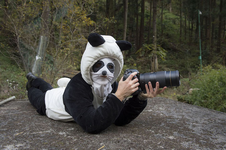 Photographer Wears Panda Suit Disguise to Snap Candid Pictures of Them ...