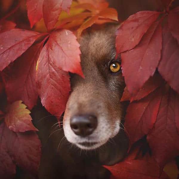 Cammie Finch, Author at My Modern Met