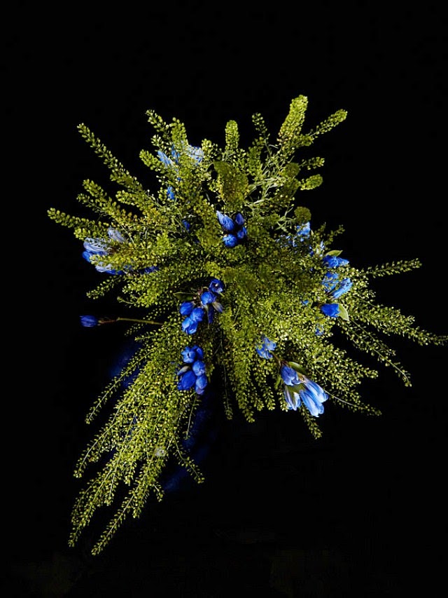 Dynamic Flower Arrangements Look Like Exploding Fireworks | My Modern Met