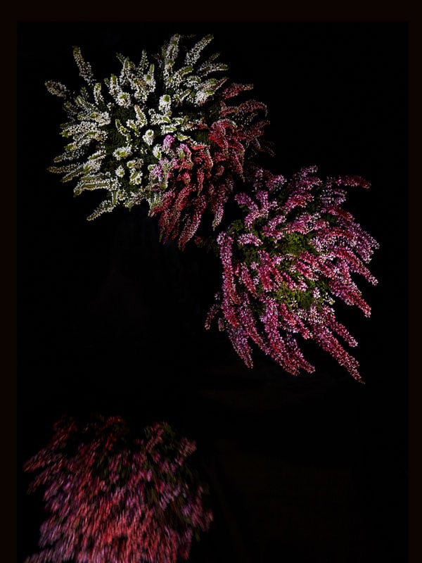 Dynamic Flower Arrangements Look Like Exploding Fireworks | My Modern Met