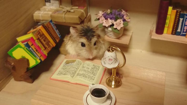 Adorable Hamster Bartenders Serving Tiny Food and Drinks | My Modern Met