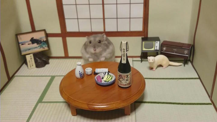 Adorable Hamster Bartenders Serving Tiny Food and Drinks | My Modern Met