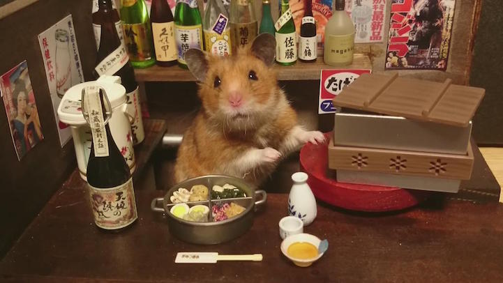 Adorable Hamster Bartenders Serving Tiny Food and Drinks | My Modern Met