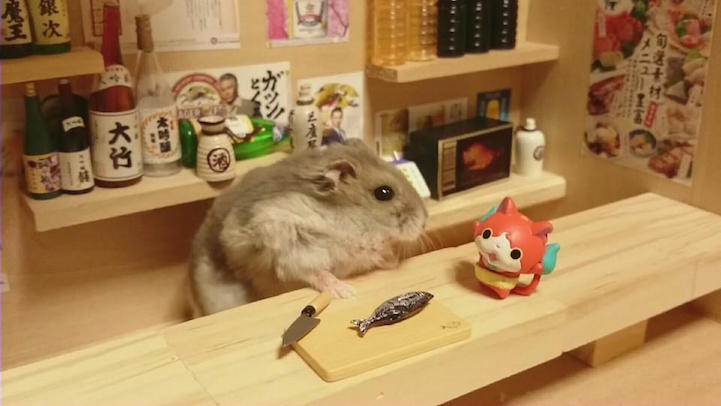 Adorable Hamster Bartenders Serving Tiny Food and Drinks | My Modern Met