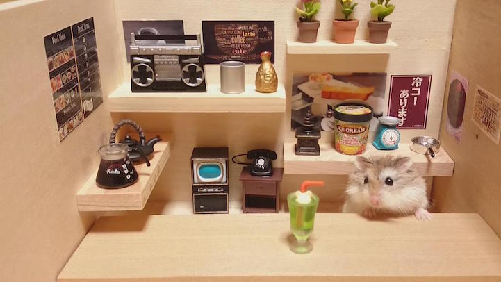 Adorable Hamster Bartenders Serving Tiny Food and Drinks | My Modern Met