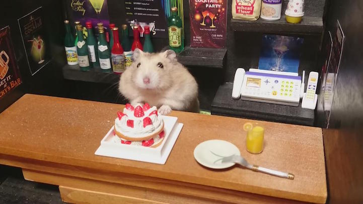 Adorable Hamster Bartenders Serving Tiny Food and Drinks | My Modern Met