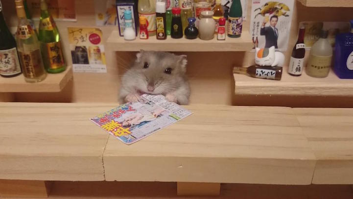 Adorable Hamster Bartenders Serving Tiny Food and Drinks | My Modern Met