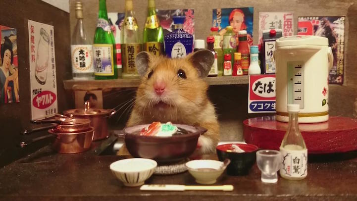 Adorable Hamster Bartenders Serving Tiny Food and Drinks | My Modern Met