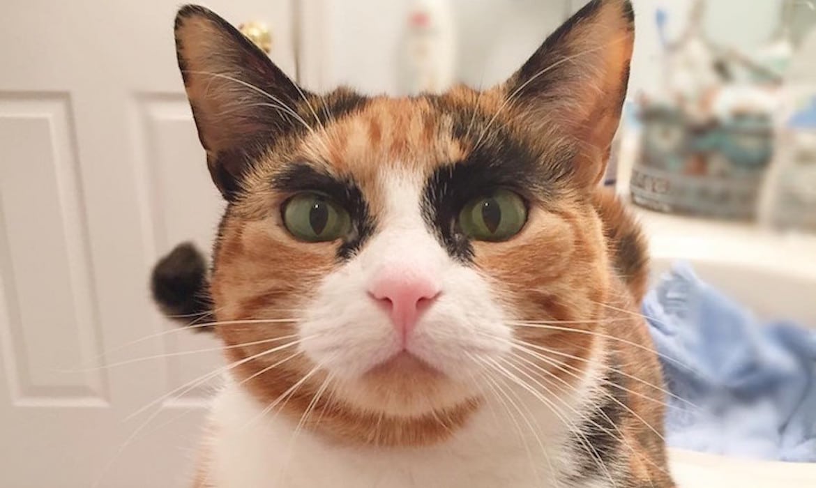 Cammie Finch, Author at My Modern Met