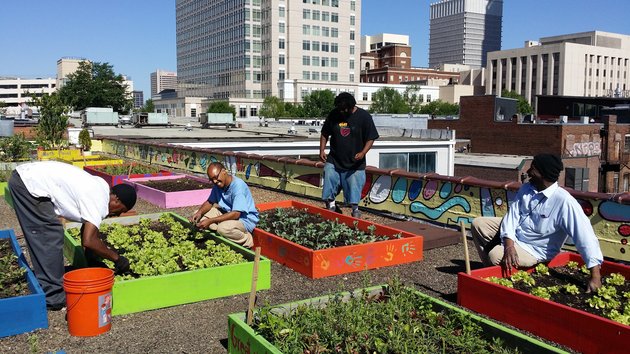 Homeless People Feed Their Community and Learn Sustainable Gardening at ...