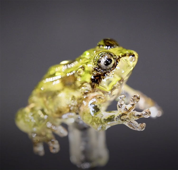 Expertly Crafted Japanese Candies Look Like Exquisite Glass Sculptures ...