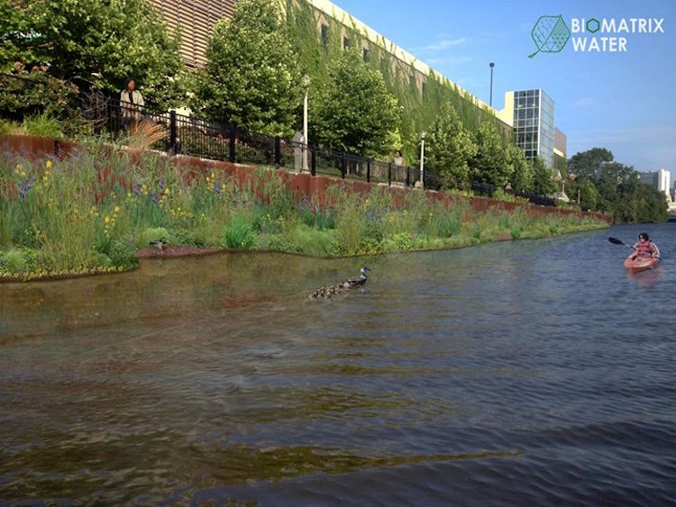 Floating Gardens in the Chicago River Designed to Create Urban Wildlife ...