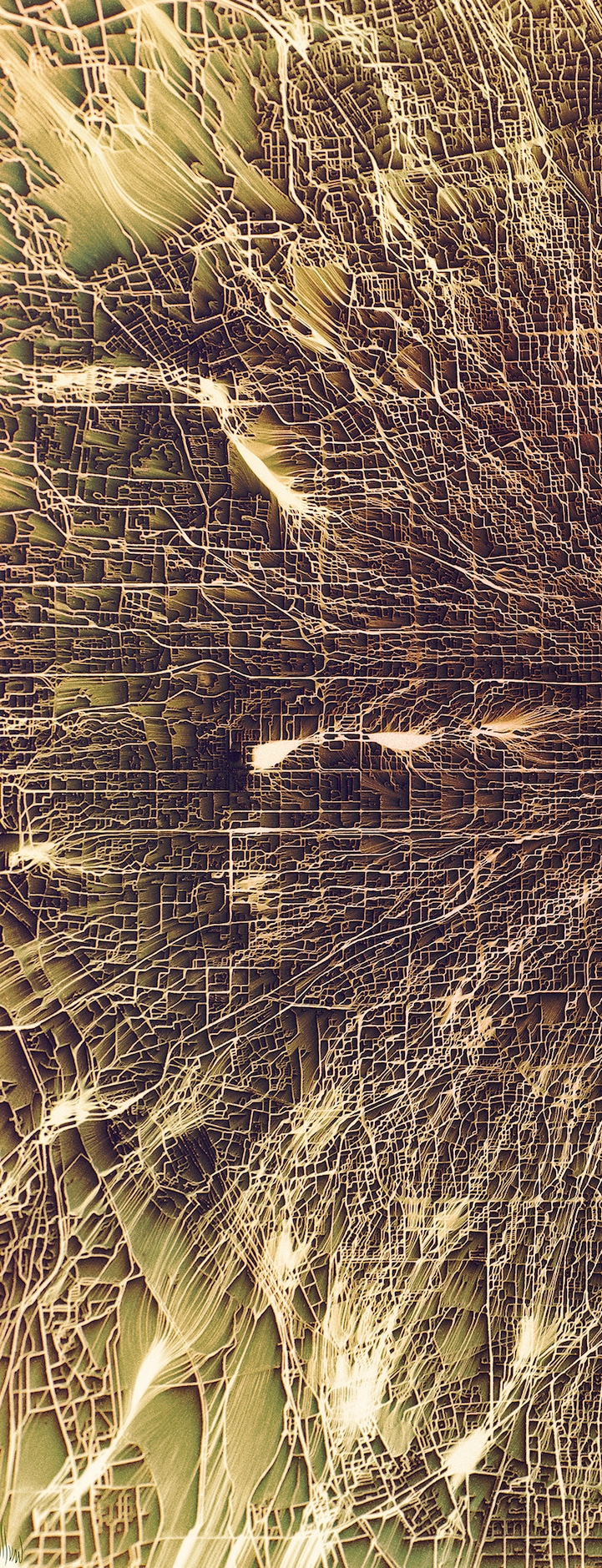 World’s Cities Transformed into Vibrant, Flowing Maps of Eroded Terrain ...