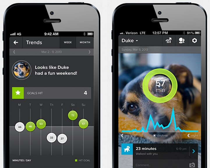 Clever Dog Collar Gadget Monitors Pet's Daily Activities