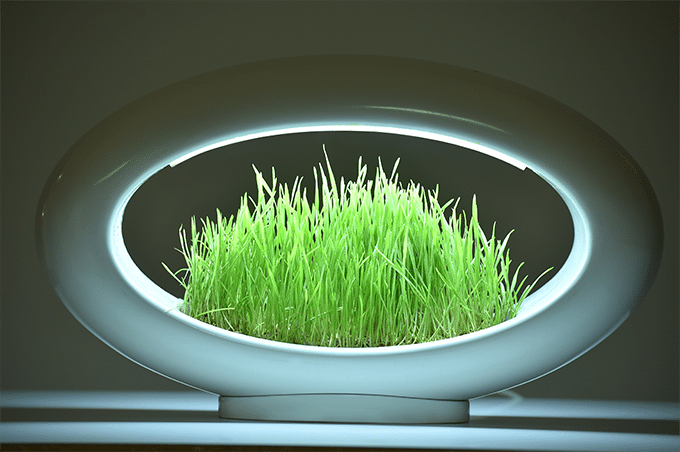 “Grasslamp” Desktop Garden Grows Healthy Microgreens and Doubles as a ...