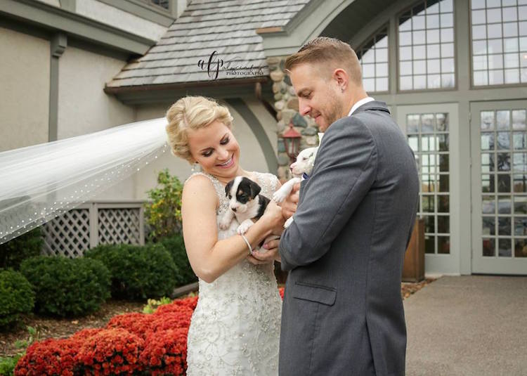 Wedding Party Carries Rescue Puppies Instead of Bouquets as a Reminder ...