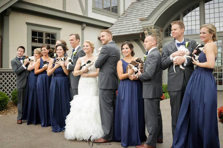Wedding Party Carries Rescue Puppies Instead of Bouquets as a Reminder ...