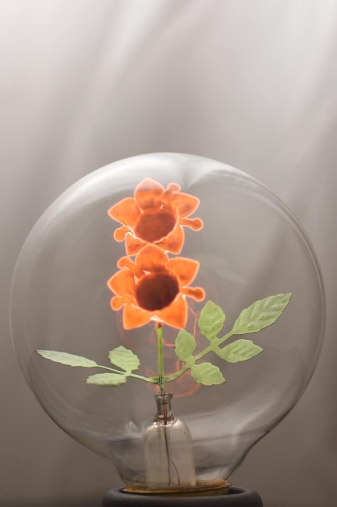 Aerolux Light Bulbs With Floral Filaments Add Beauty to Electricity