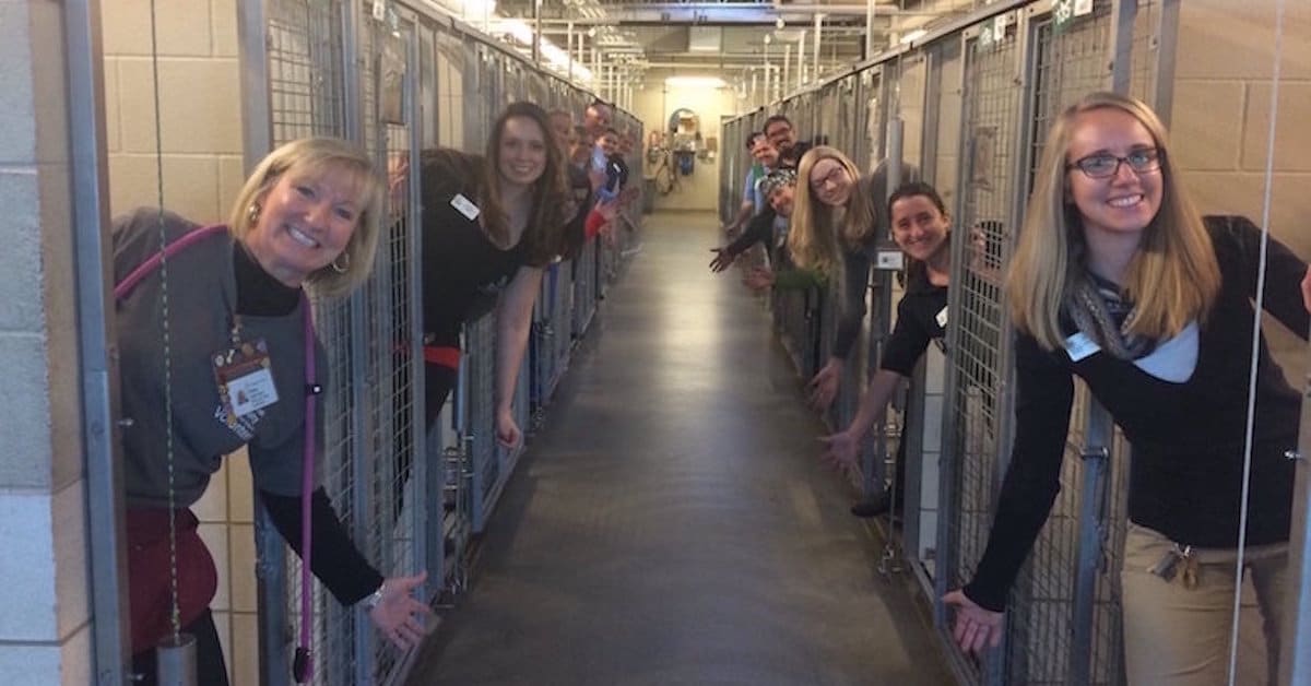 Colorado Animal Shelter Finds Homes for All of its Dogs