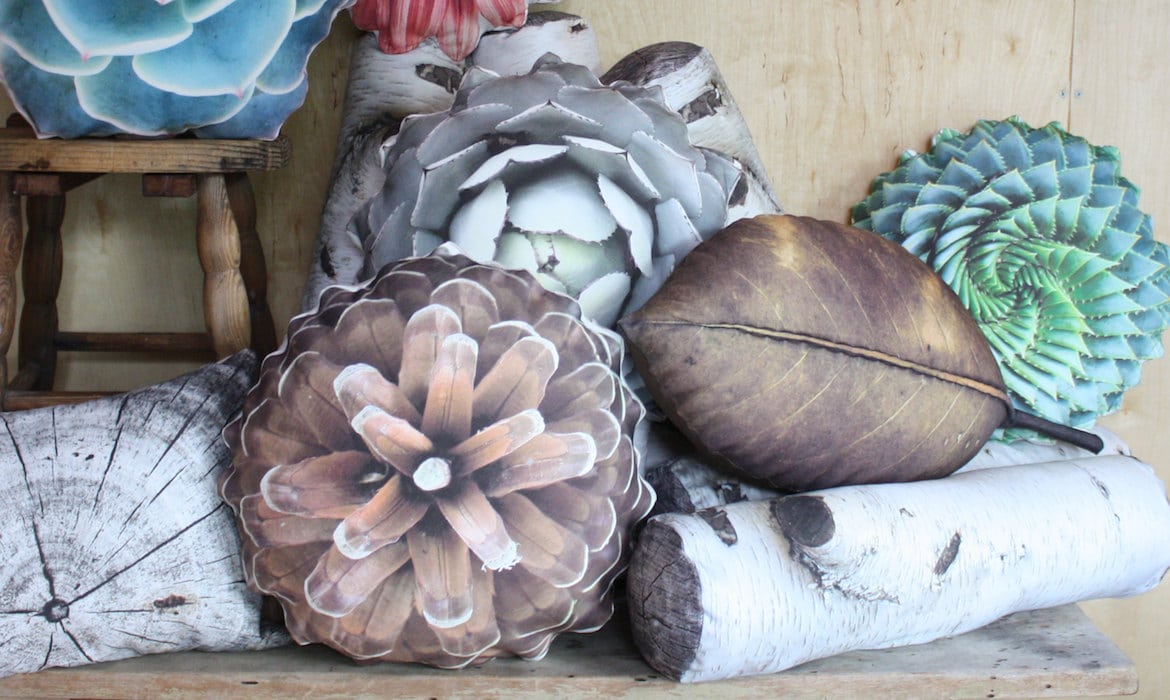 Nature Archives - Page 20 of 28 - My Modern Met