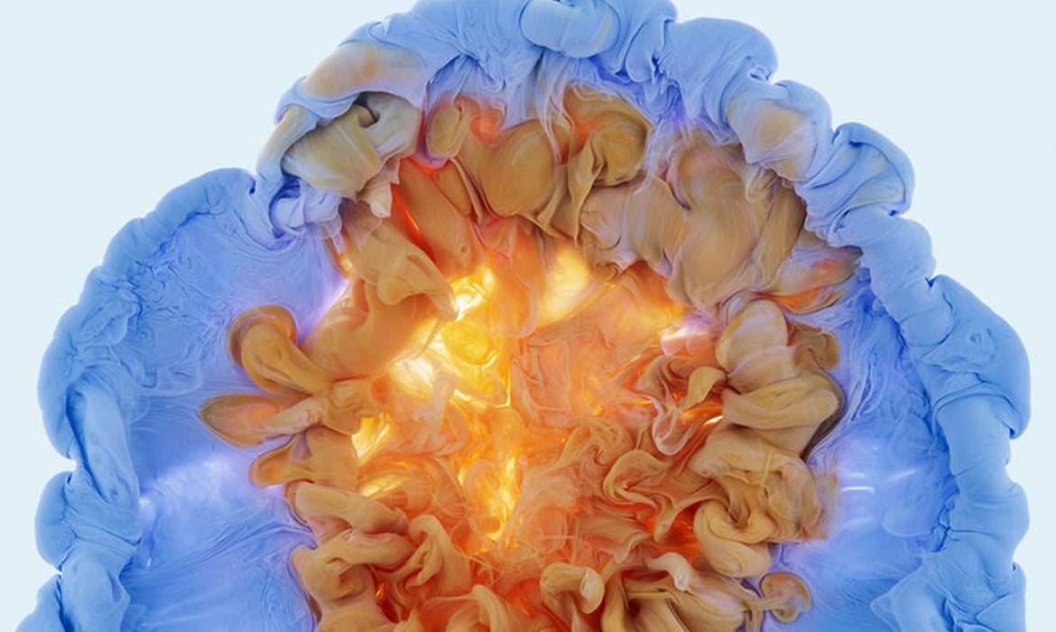 Discover Today's Top Photographers with My Modern Met - Page 155 of 502