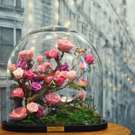 Real Enchanted Rose Lasts 3 Years Without Water or Sunlight