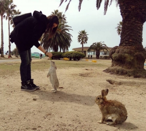 You Can Visit This Japanese Island Overrun with Friendly Bunnies | My ...