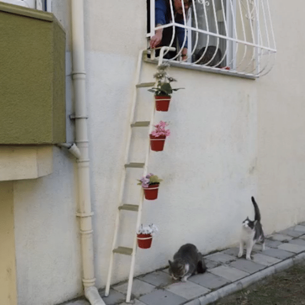 My Modern Met – The Big City That Celebrates Creative Ideas