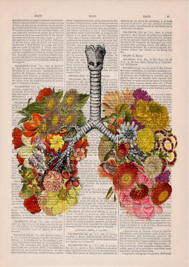 Art Made Out of Books Puts New Spin on Concept of Book Art