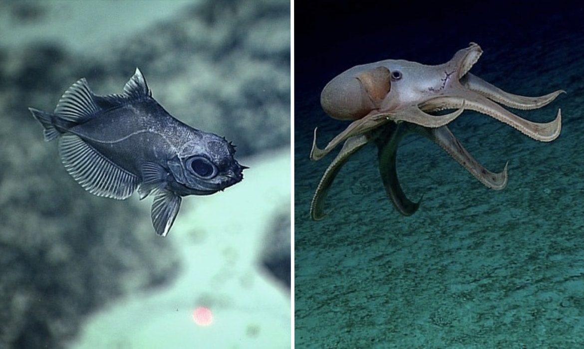 My Modern Met – The Big City That Celebrates Creative Ideas