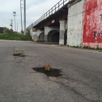 Pothole Flowers Beautify Unsightly Holes With Unique Flower Protest Art