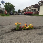 Pothole Flowers Beautify Unsightly Holes With Unique Flower Protest Art
