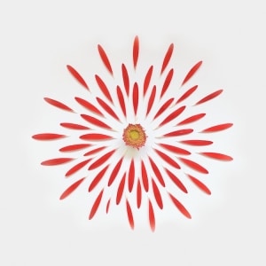 25+ Blossoming Pieces of Flower Art Made with Real Blooms