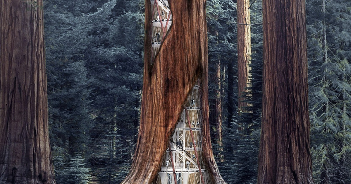 Giant Sequoia is Conceptual Architecture That Turns Tree Into Skyscraper