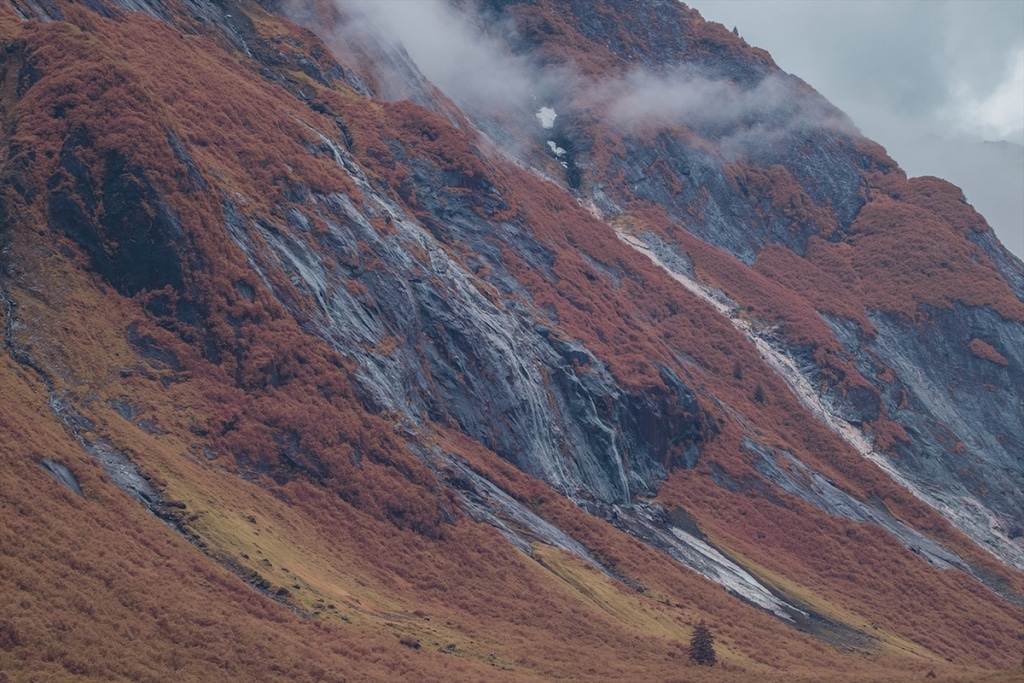 Otherworldly Infrared Photography Transforms Alaskan Fjord into Another ...