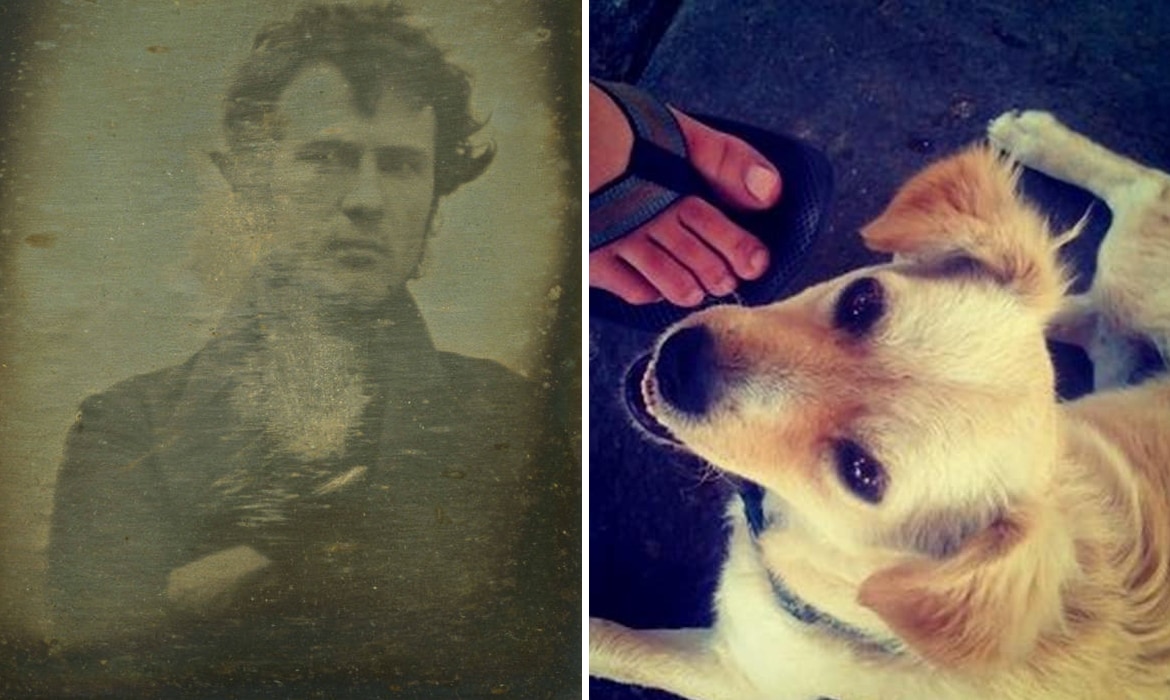 Gain a Deeper Understanding of Art History