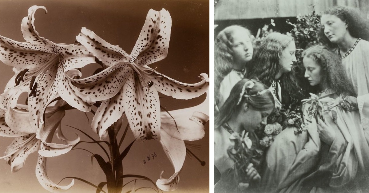 Photo Archive of Old Photos Shows First 100 Years of Photography History