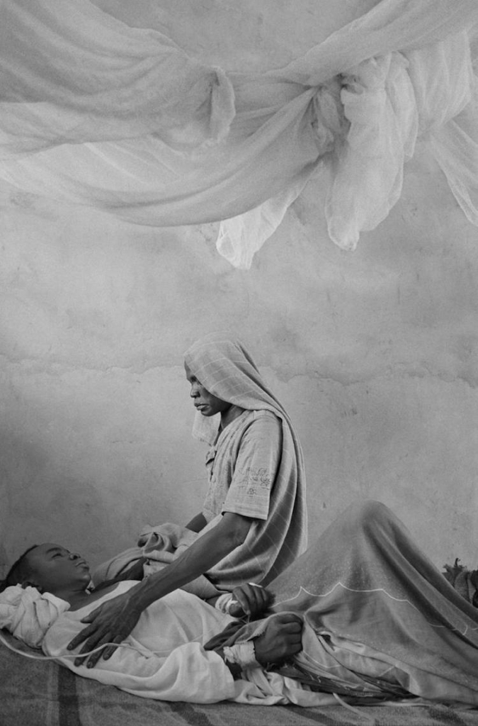 The History of Photojournalism and Its Lasting Impact on Society