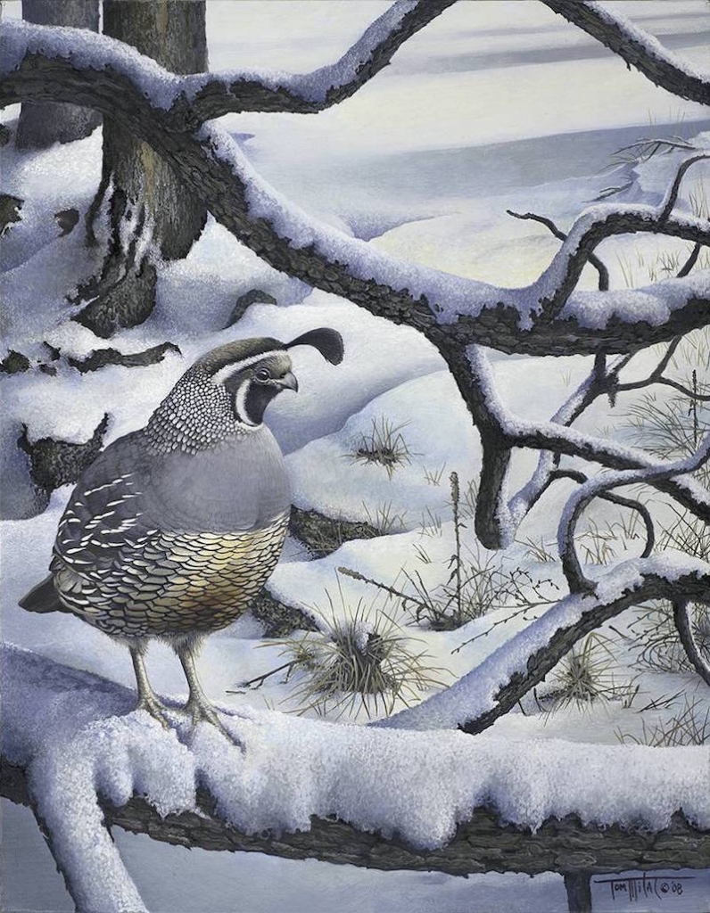 Interview: Oregon Wildlife Painter Captures the Beautiful Diversity of ...