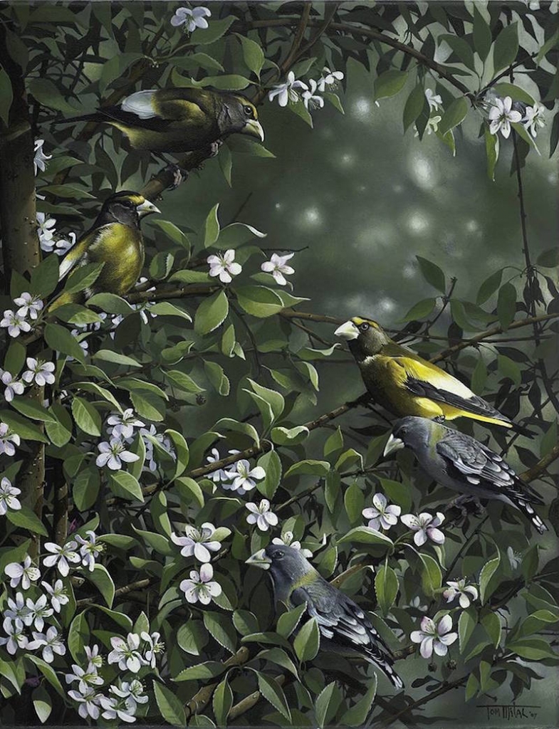 Interview: Oregon Wildlife Painter Captures the Beautiful Diversity of ...