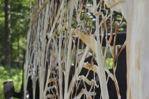 Contemporary Sculpture by Dan Rawlings Transforms Van Into Forest