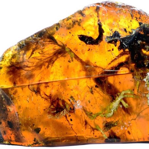 My Modern Met – The Big City That Celebrates Creative Ideas