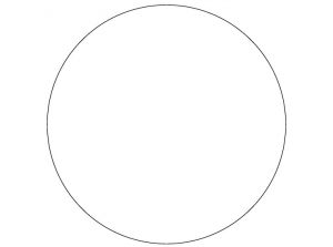 Ph.D. Infographic Explains the Academic World in 12 Steps