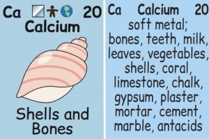 Illustrated Periodic Table Shows the Chemical Elements in Daily Life